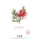 Australian Botanical Art Prints and Cards For Sale